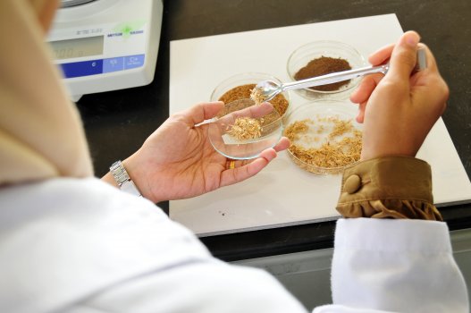 research - Anonymous